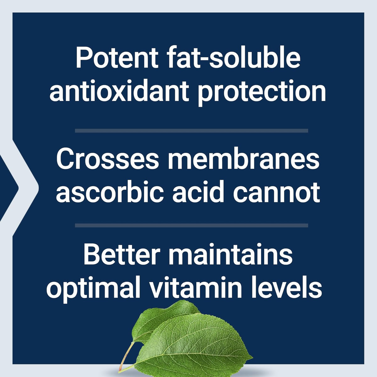 liposomal vitamin c for better absorption