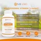liposomal vitamin c for better absorption