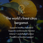 liposomal vitamin C for better absorption