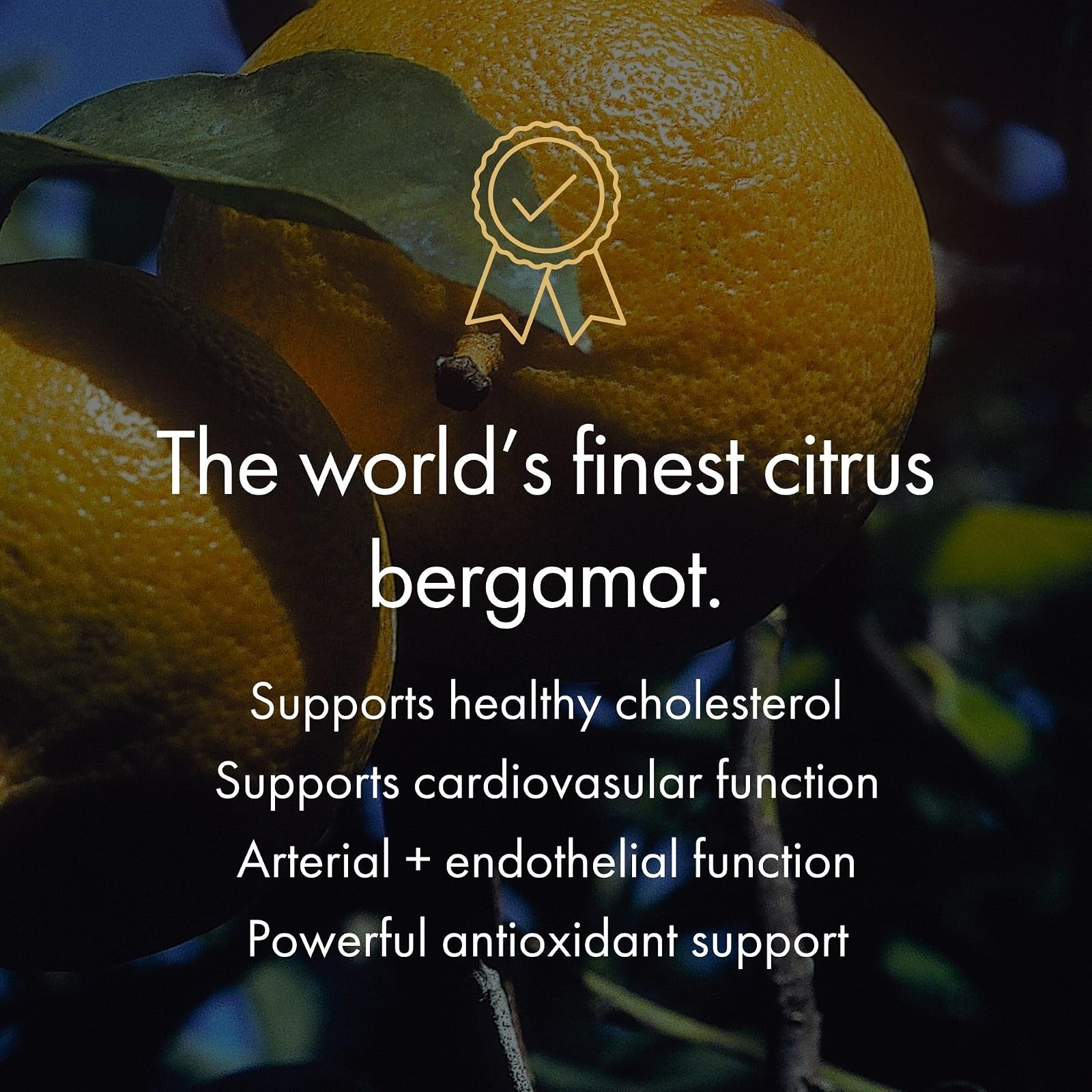 liposomal vitamin C for better absorption