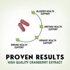 Liposomal vitamin C with Cranberry