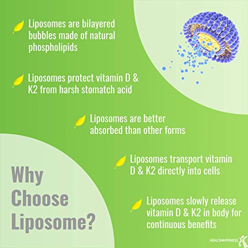 Liposomal vitamin D3 absorption support