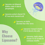 Liposomal vitamin D3 absorption support