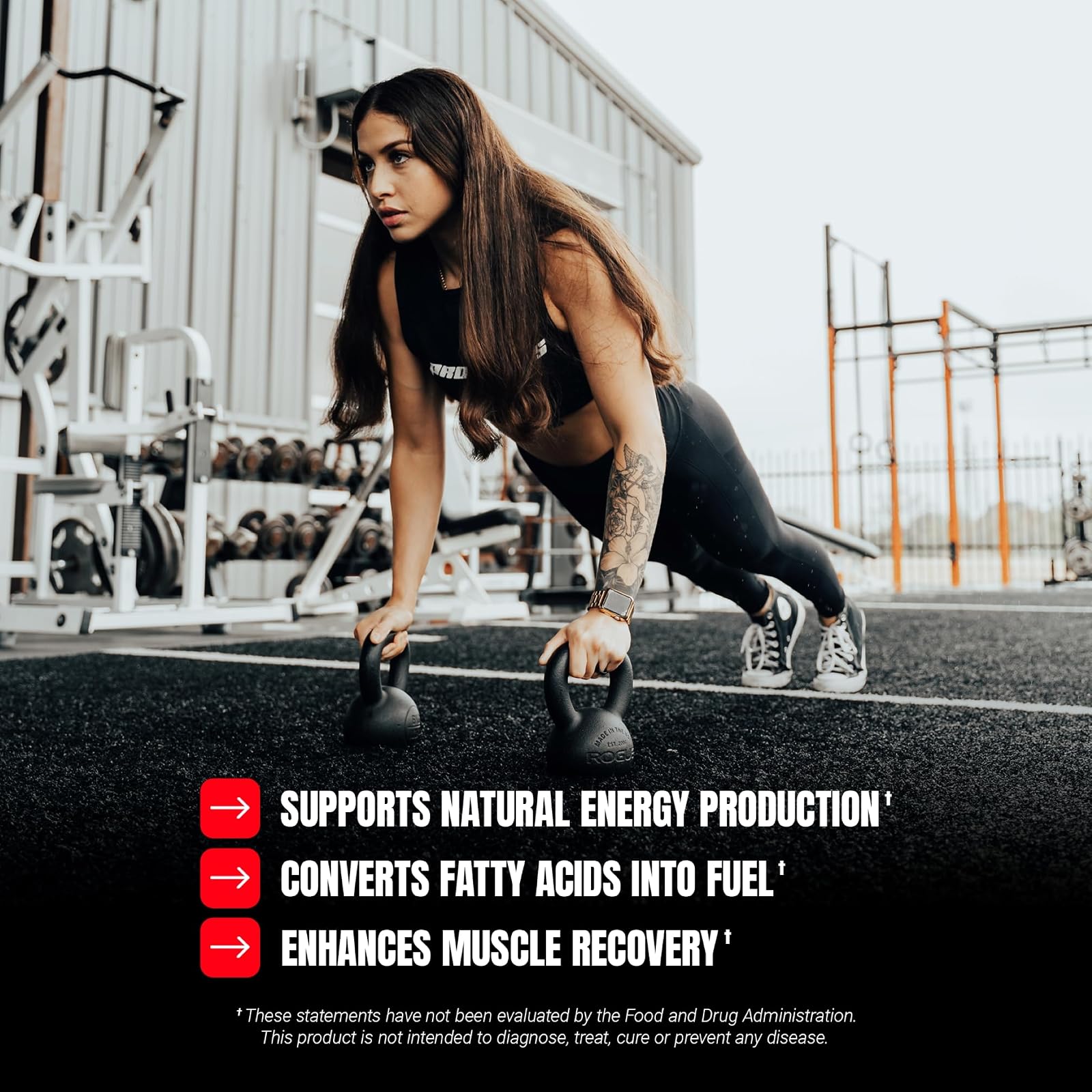liquid acetyl l-carnitine for energy