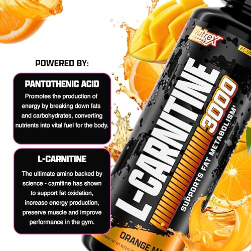 liquid acetyl l-carnitine for performance