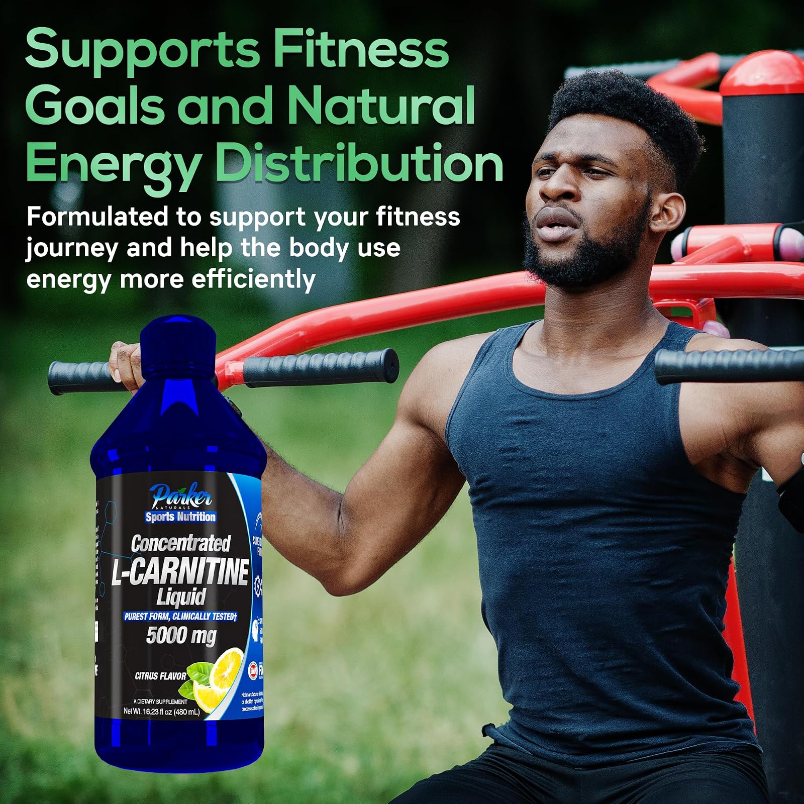 liquid acetyl l-carnitine supplement