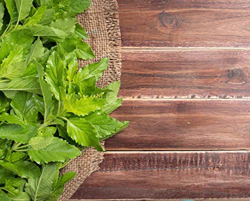 liquid adaptogen for wellness