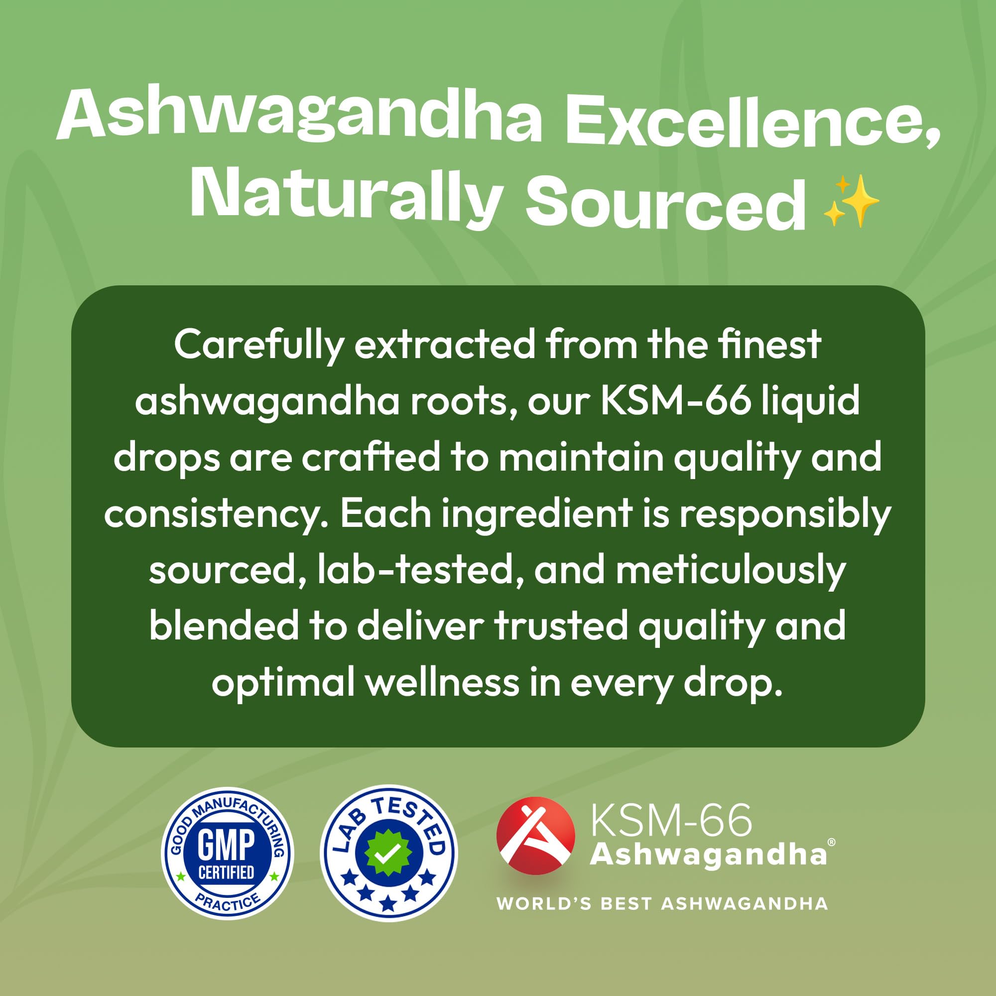 liquid ashwagandha for quick absorption