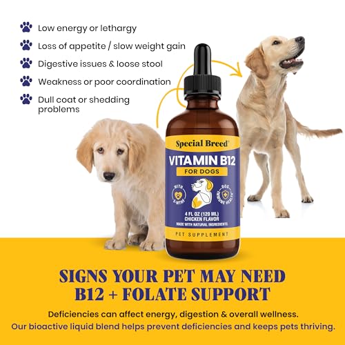 Liquid B12 for better absorption