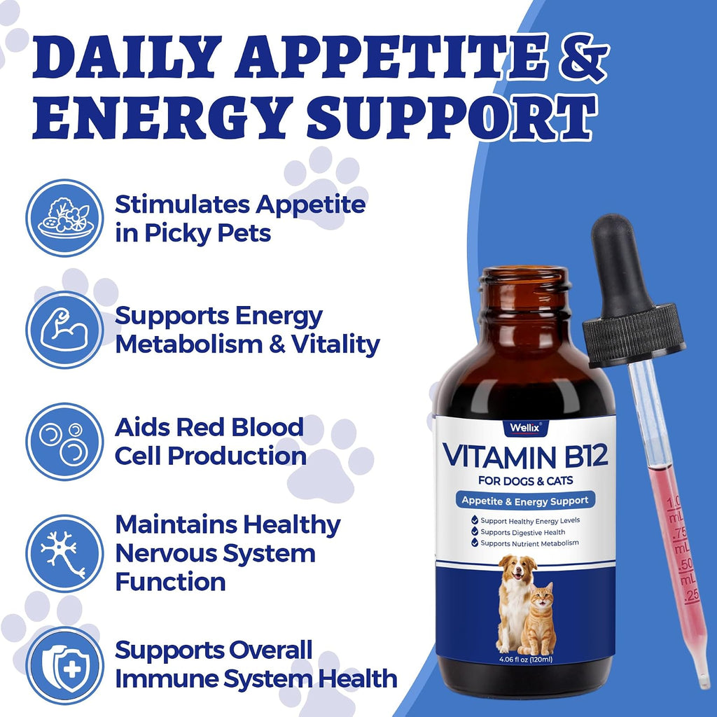 Liquid B12 supplement for dogs