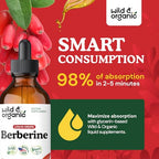 liquid berberine for better absorption