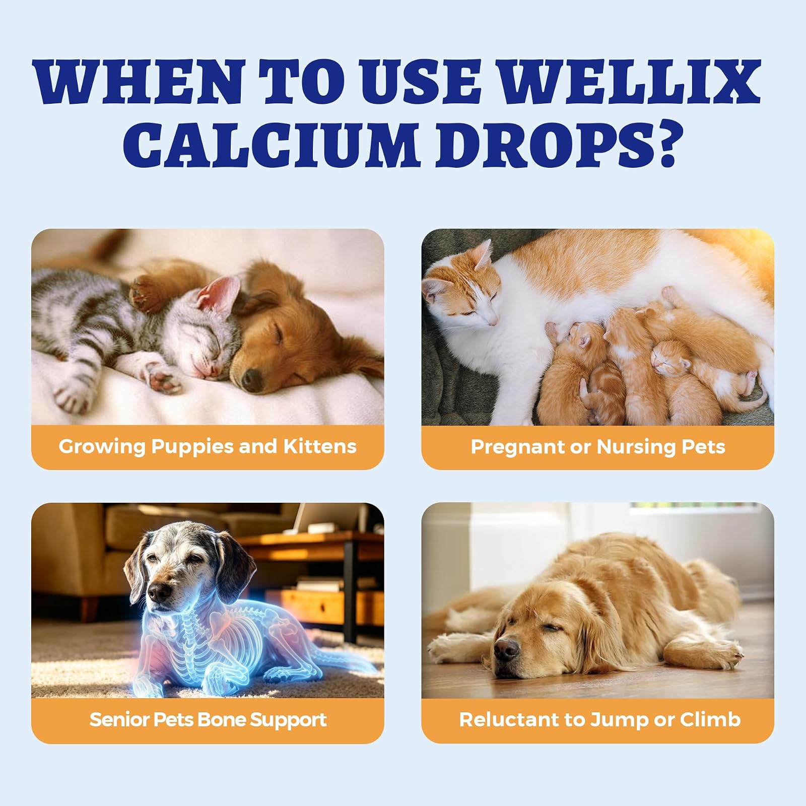 Liquid calcium for better absorption