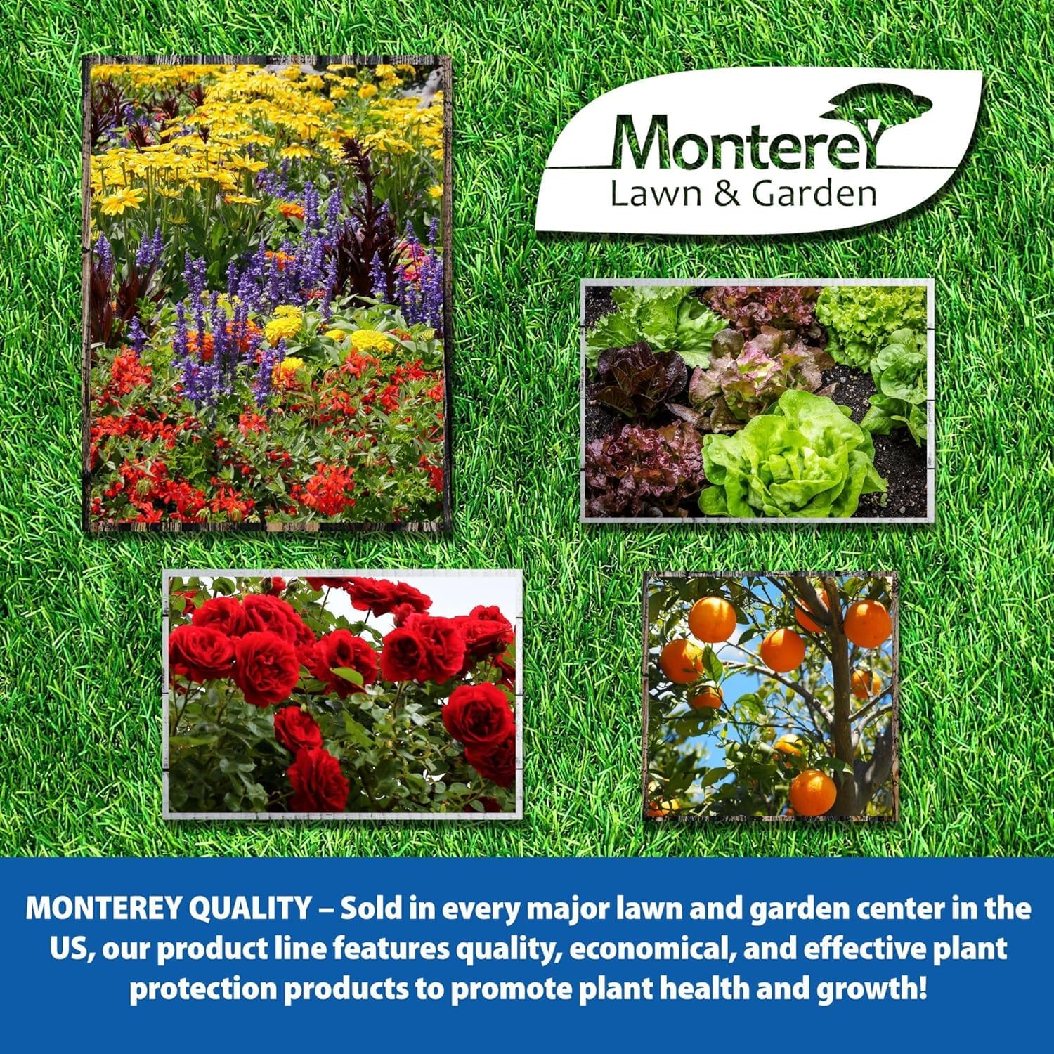 liquid calcium for vibrant foliage