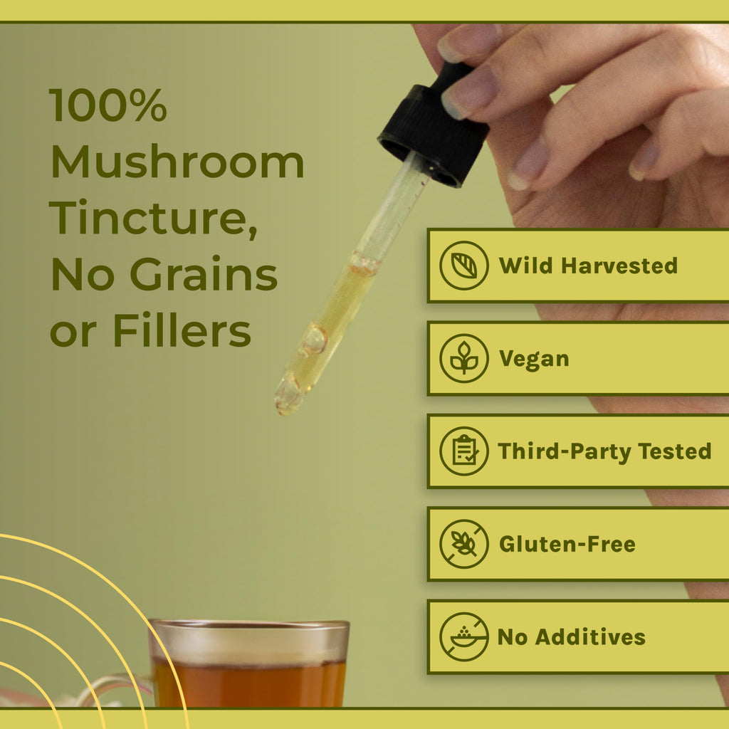 Liquid chaga mushrooms for vitality