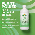 liquid chlorophyll for digestive health