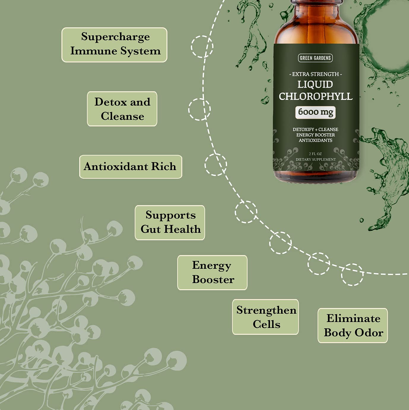 liquid chlorophyll for digestive health