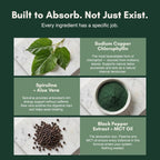 liquid chlorophyll for digestive support
