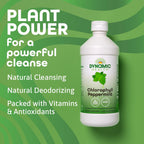 liquid chlorophyll for energy boost