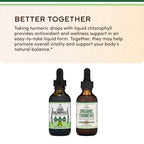 liquid chlorophyll for improved digestion