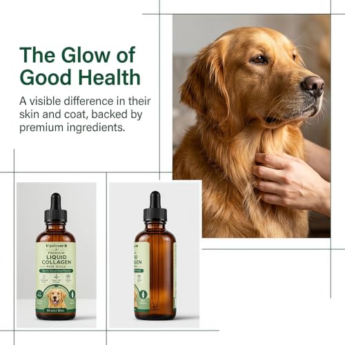 liquid collagen for dog beauty