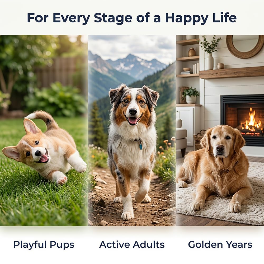Liquid collagen for dog skin support