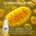 liquid coq10 antioxidant benefits