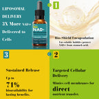 Liquid CoQ10 for daily wellness