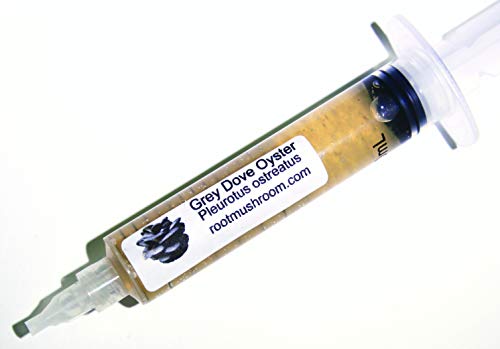 Liquid cultures for mushroom enthusiasts