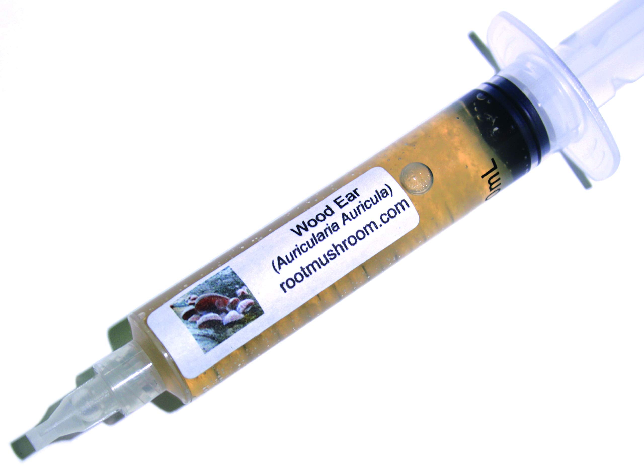 liquid cultures for wood ear mushrooms