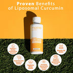liquid curcumin for inflammation support