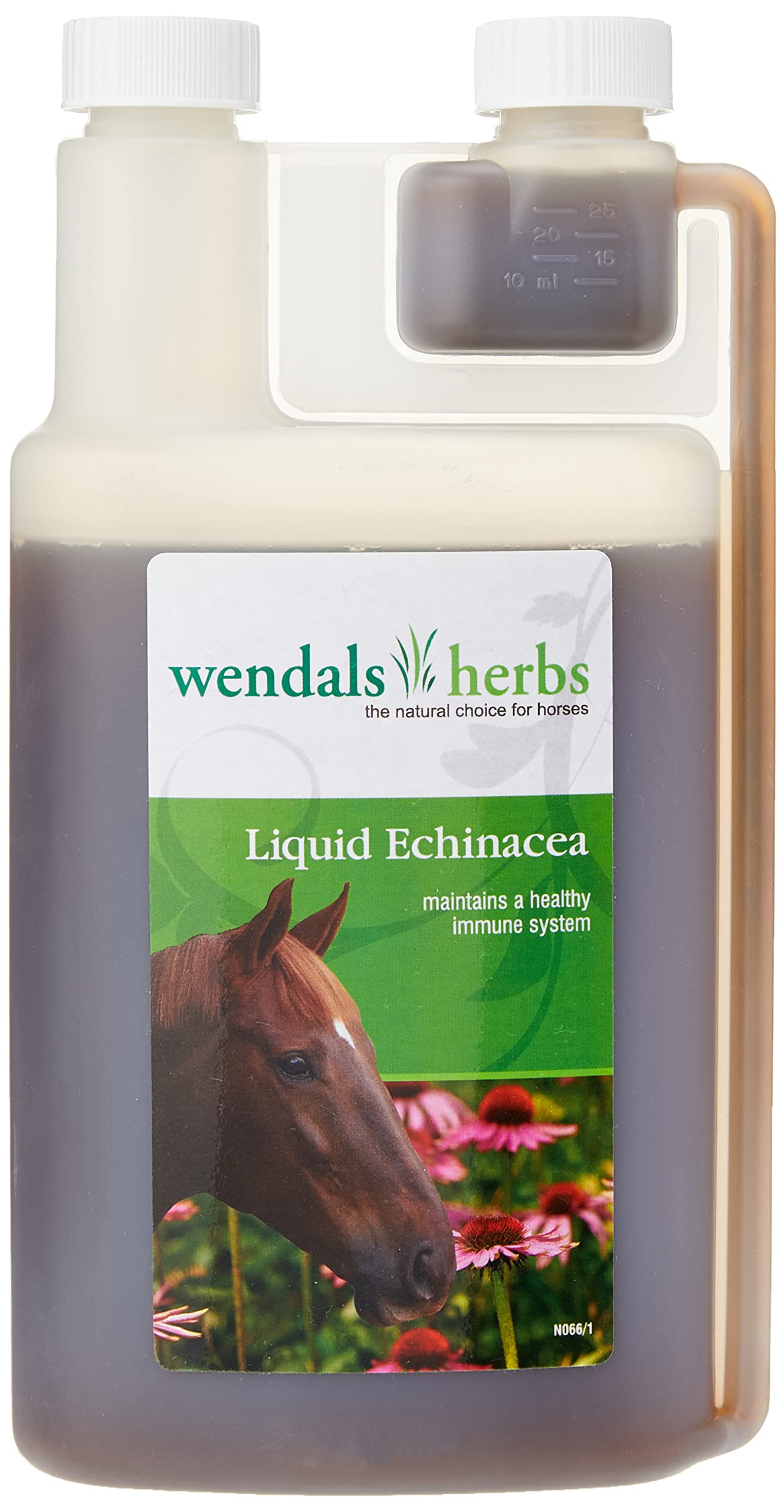 liquid echinacea for immune health