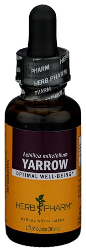 liquid echinacea for immune health