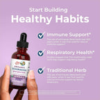 liquid echinacea for seasonal health