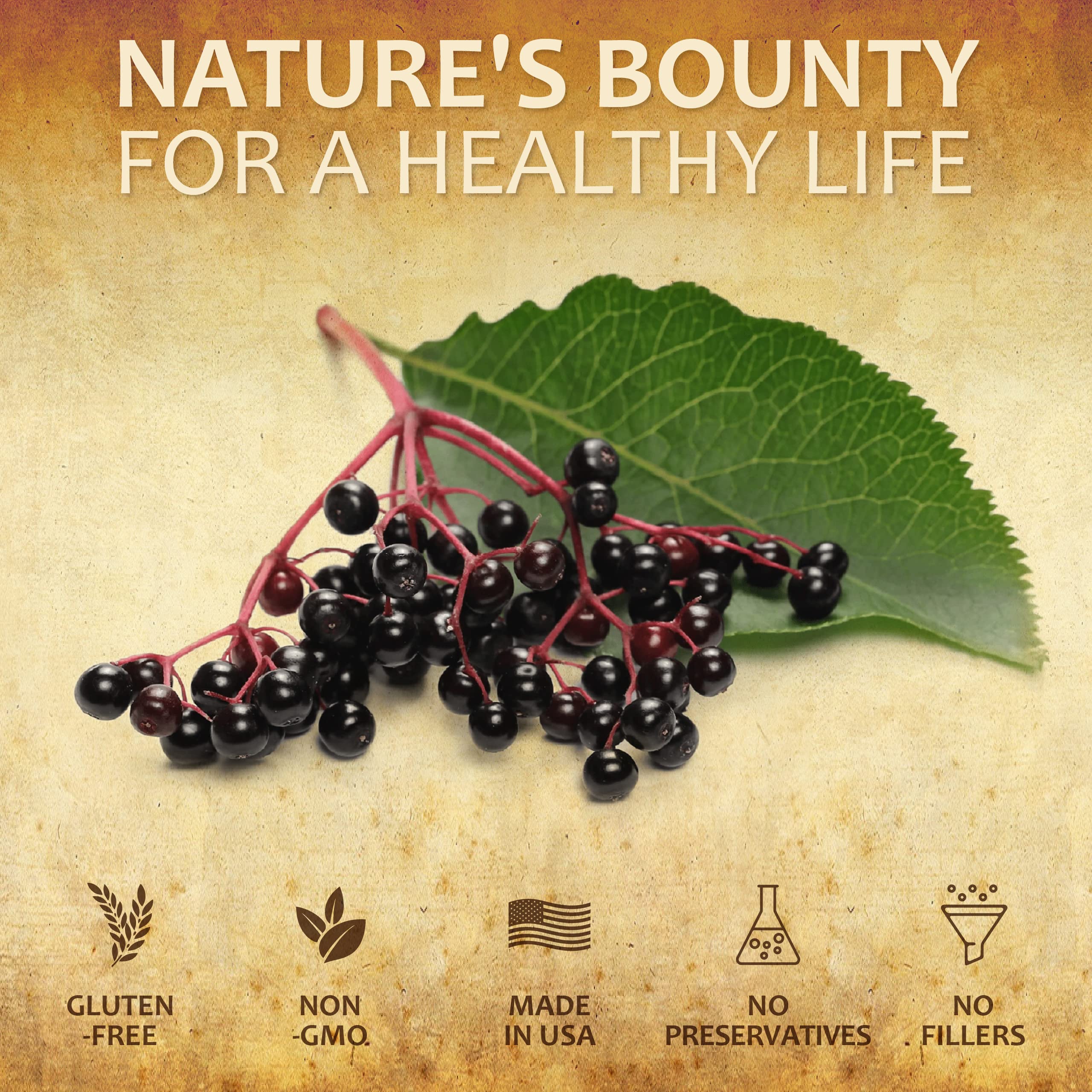 liquid elderberry for daily use