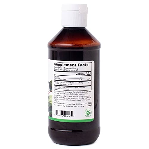 liquid elderberry syrup for everyday wellness