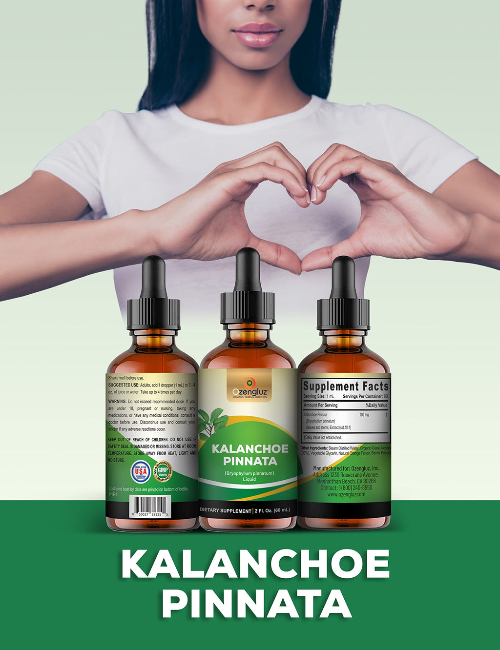 liquid extract for immune support