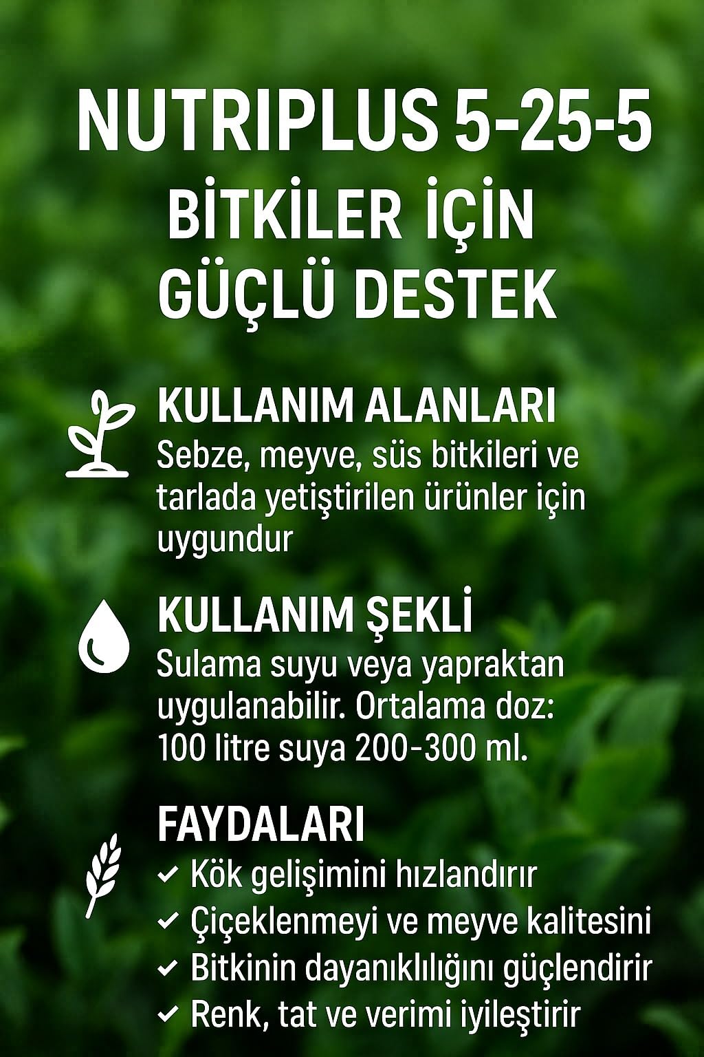 liquid fertilizer for vibrant flowers