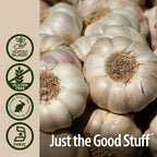 liquid garlic extract for digestion