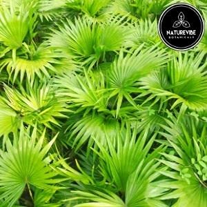 Liquid ginger extract for easy consumption