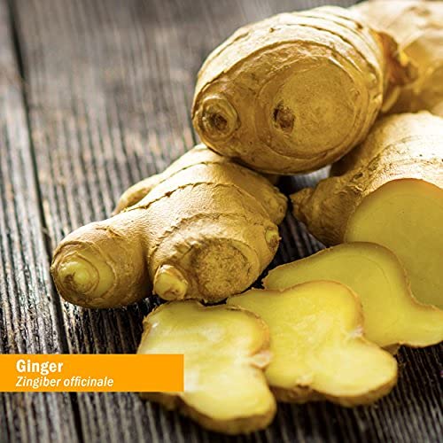 liquid ginger for digestive comfort