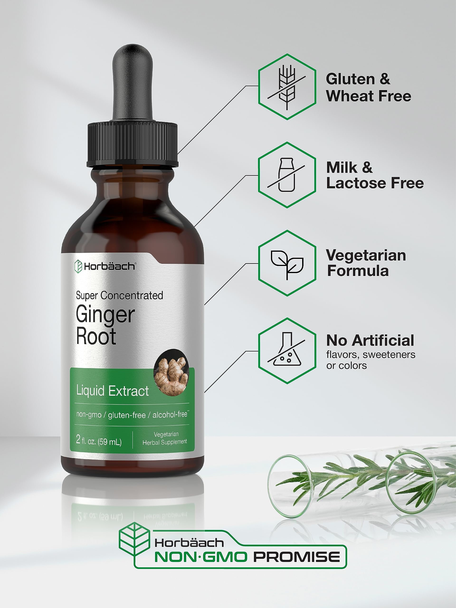 liquid ginger for digestive support