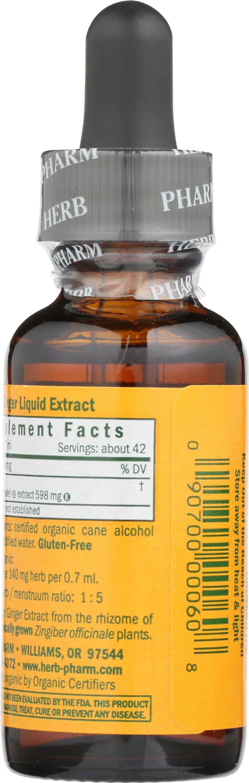 liquid ginger for easy absorption