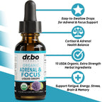 liquid ginkgo biloba for energy