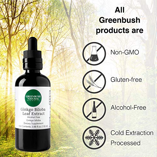 liquid ginkgo biloba for improved memory