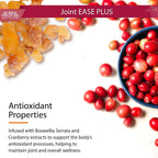liquid glucosamine for easy absorption