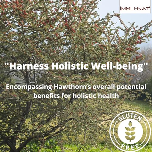 Liquid hawthorn extract dosage