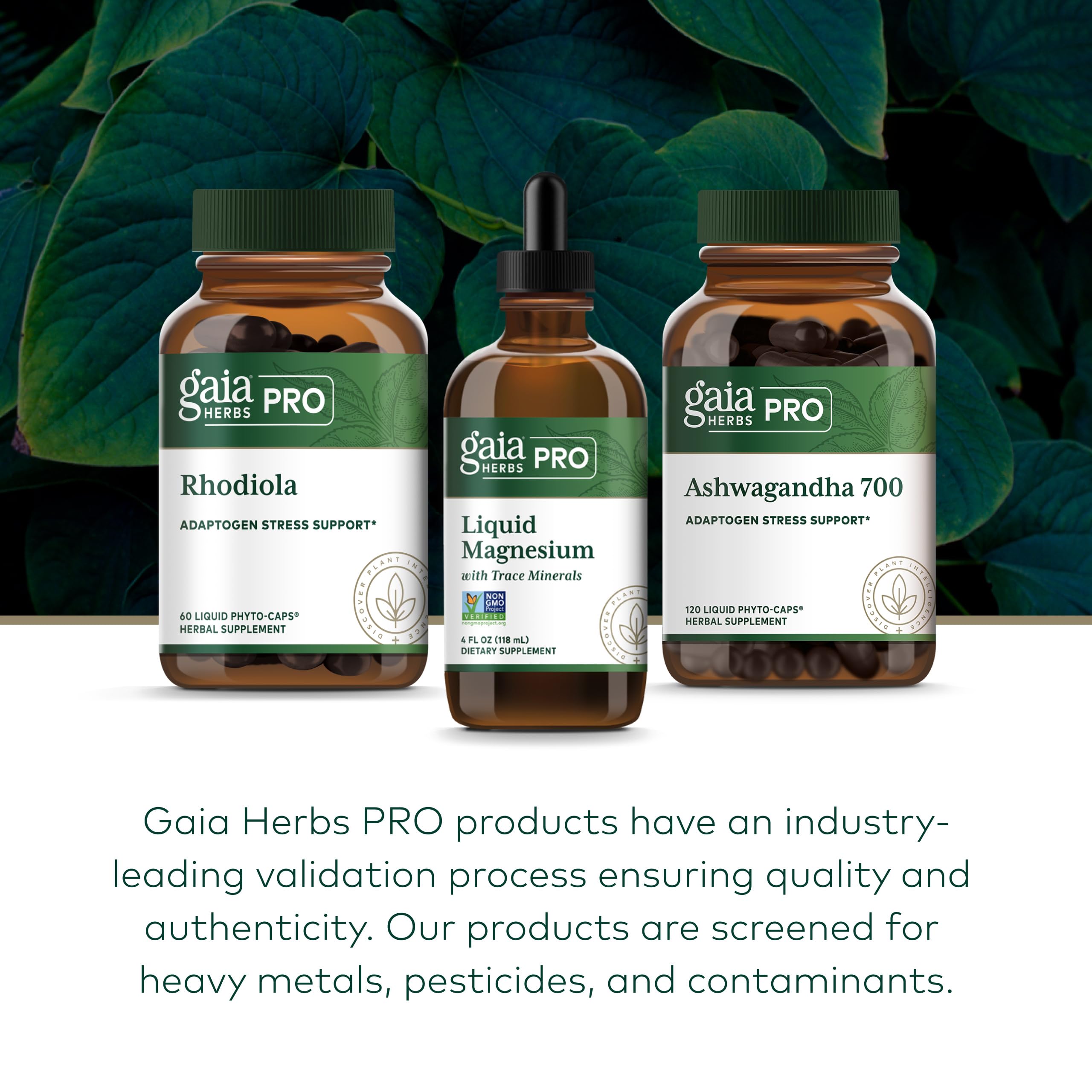 liquid health supplement with trace minerals