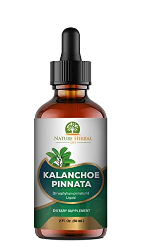 Liquid herbal remedy for immune support