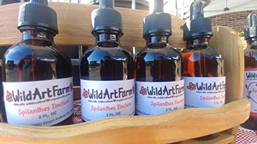 liquid herbal supplement for oral care