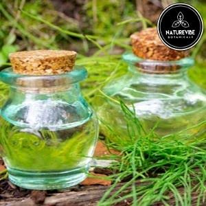 Liquid herbal supplement for overall wellness